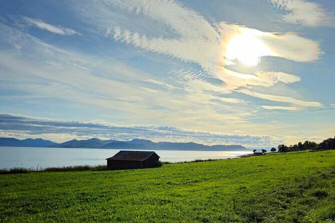 Arctic Wildlife and Fjord Sightseeing - The Sum Up