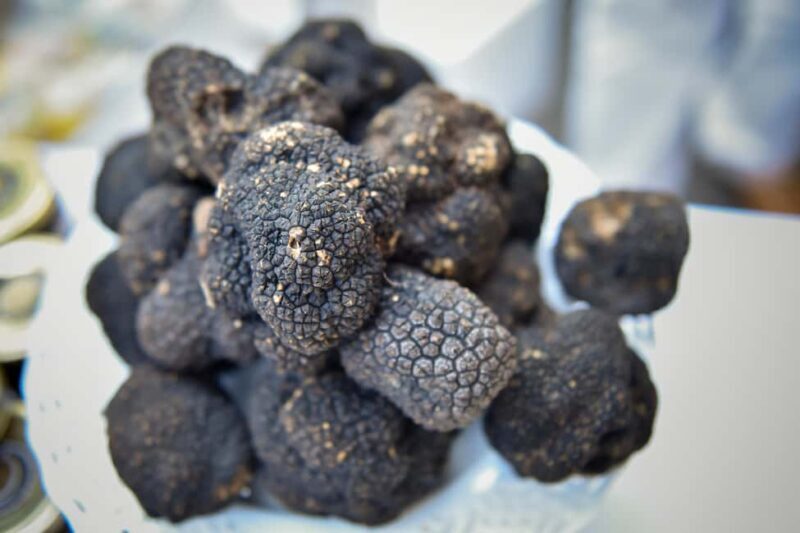 Arezzo: truffle hunting, tasting, and a cooking class with truffles. - The Factory Tour & Product Insights