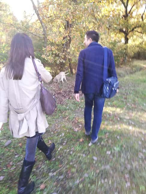 Arezzo: truffle hunting, tasting, and a cooking class with truffles. - The Value of the Experience