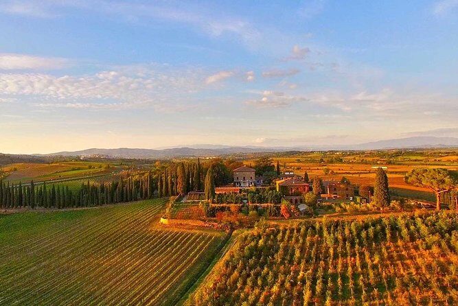 Arezzo: Wine Tasting Experience in Valdichiana area - Key Points