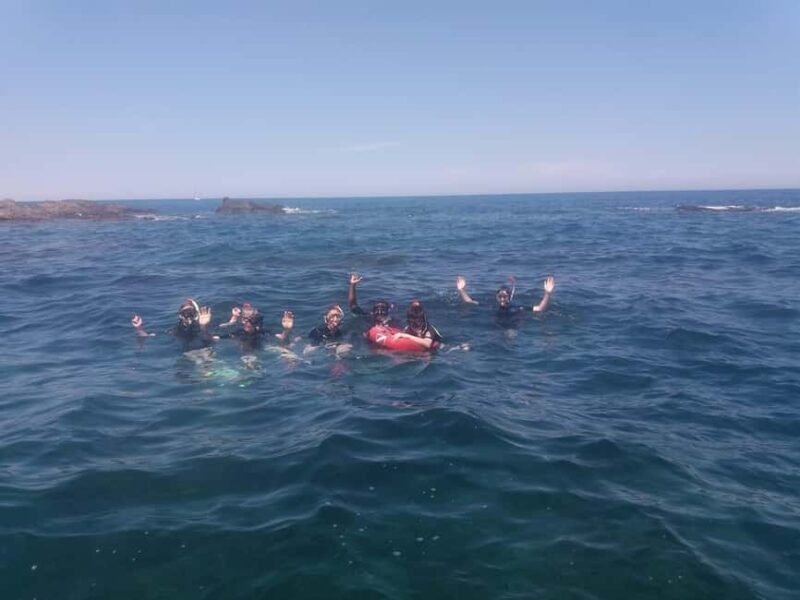 Argelès-sur-Mer: snorkeling into the Marine Natural Park - Key Points