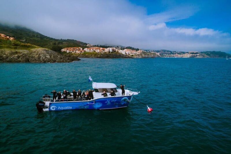 Argelès-sur-Mer: snorkeling into the Marine Natural Park - Introduction to the Experience