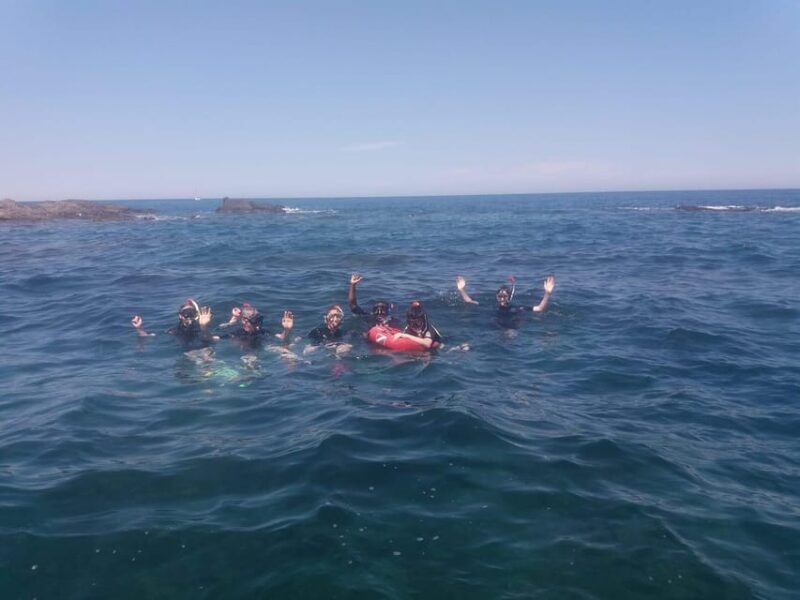 Argelès-sur-Mer: snorkeling into the Marine Natural Park - Whats Included and Whats Not