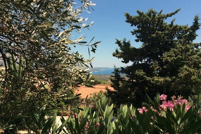 Argostoli & Beyond: Villages, Olive Oil & Honey Tasting - The Value Proposition