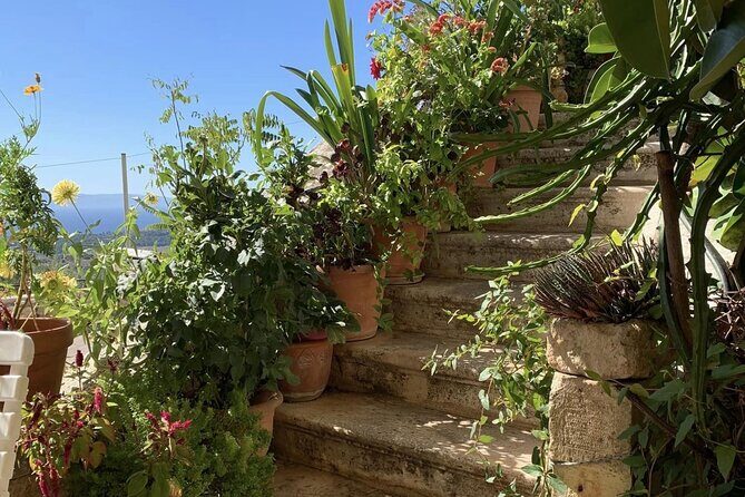 Argostoli & Beyond: Villages, Olive Oil & Honey Tasting - Final Thoughts: Who Will Love This Tour?