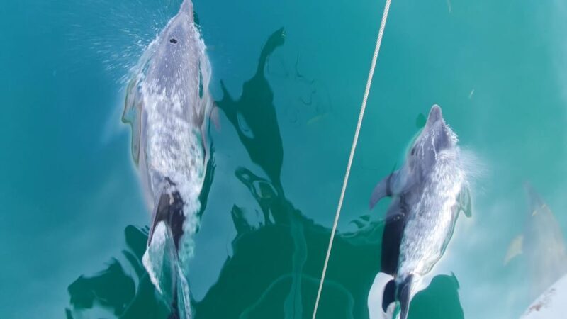 Argostoli: Full-Day Boat Trip with Lunch & Wine - FAQ