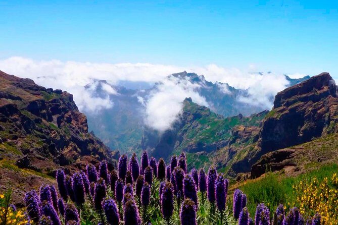 Arieiro Peak, Santo Serra, Cristo Rei in Open Roof 4x4 Experience - Practical Details Make a Difference