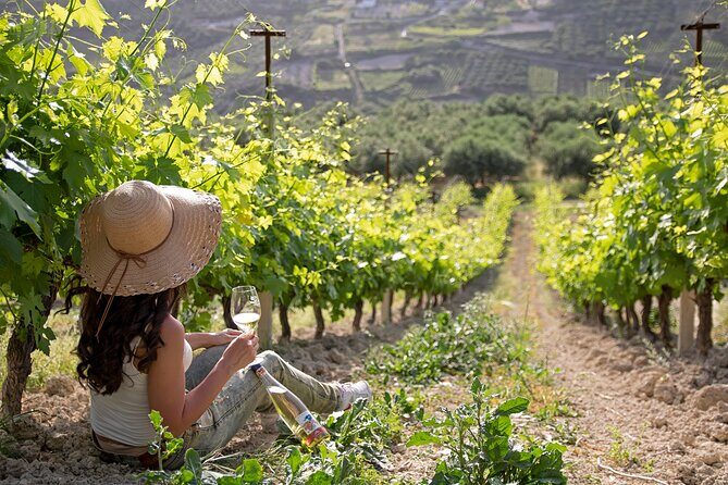ARISMARI  Vineyard Tour & Wine Tasting - What Makes This Tour Stand Out?