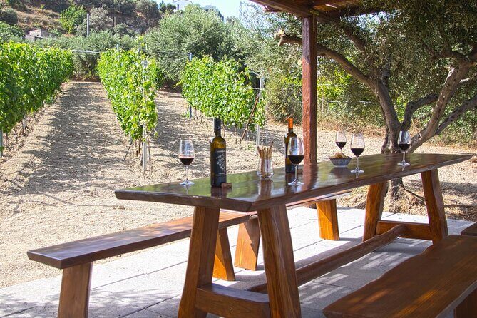 ARISMARI  Vineyard Tour & Wine Tasting - FAQ