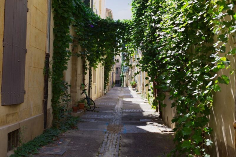 Arles: Private Guide Tour - Explore History & Culture - FAQ  