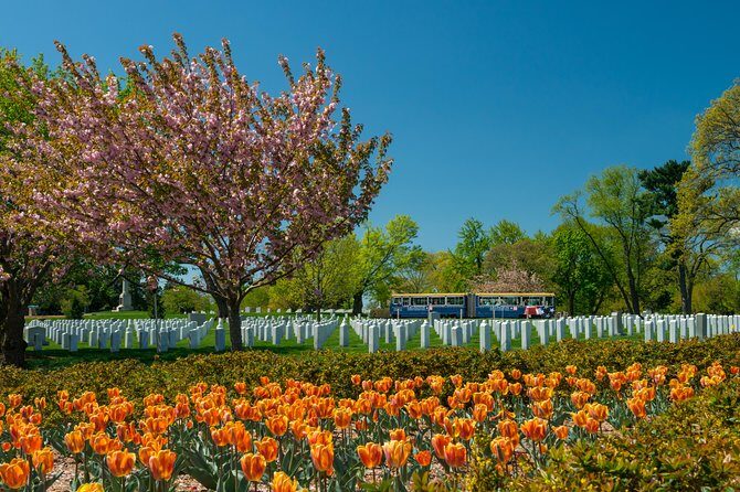 Arlington National Cemetery Hop-On Hop-Off Tour - Pricing and Value