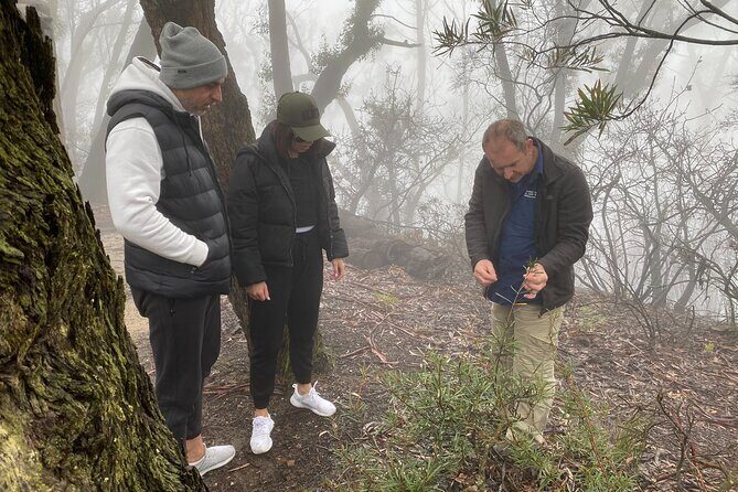 Army Truck Adventures - 3 Hour Guided Tour - Off-the-Beaten-Path Spots