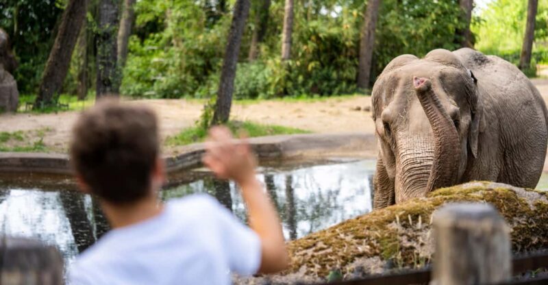 Arnhem: Burgers' Zoo Entry Ticket - What Is Burgers Zoo?