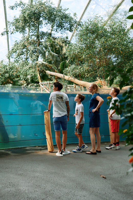 Arnhem: Burgers' Zoo Entry Ticket - Experience Quality and Accessibility