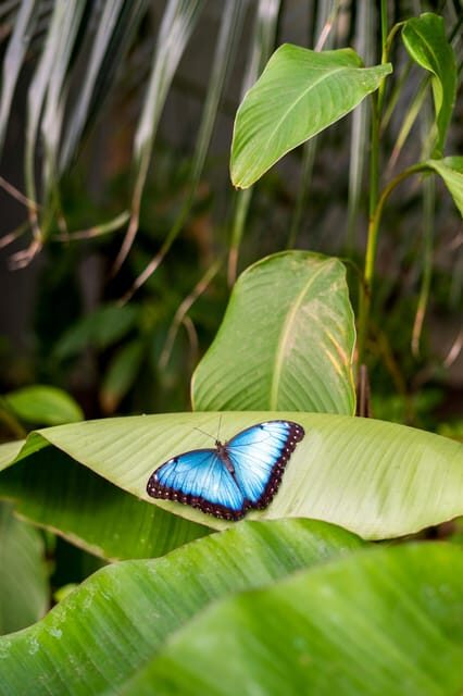 Arnhem: Burgers' Zoo Entry Ticket - Authentic Insights from Visitors