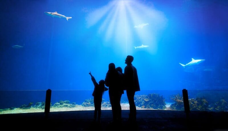 Arnhem: Burgers' Zoo Entry Ticket - Final Thoughts: Who Should Visit Burgers Zoo?