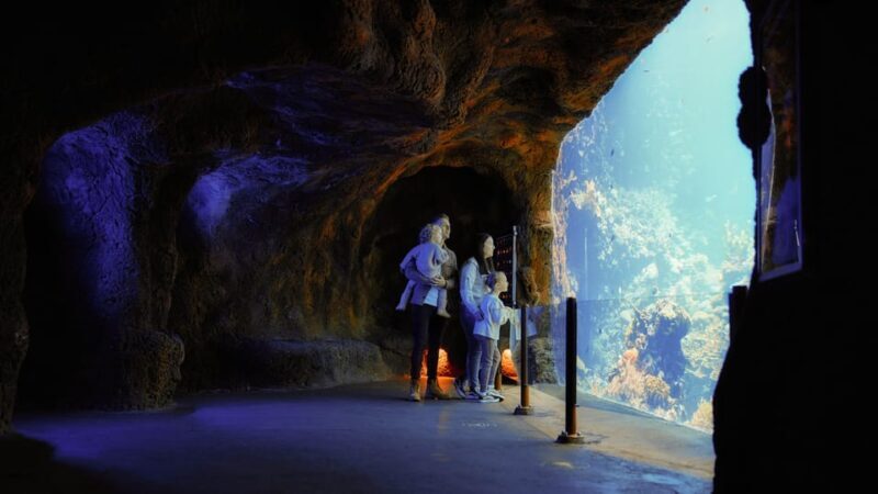 Arnhem: Burgers' Zoo Entry Ticket - FAQ