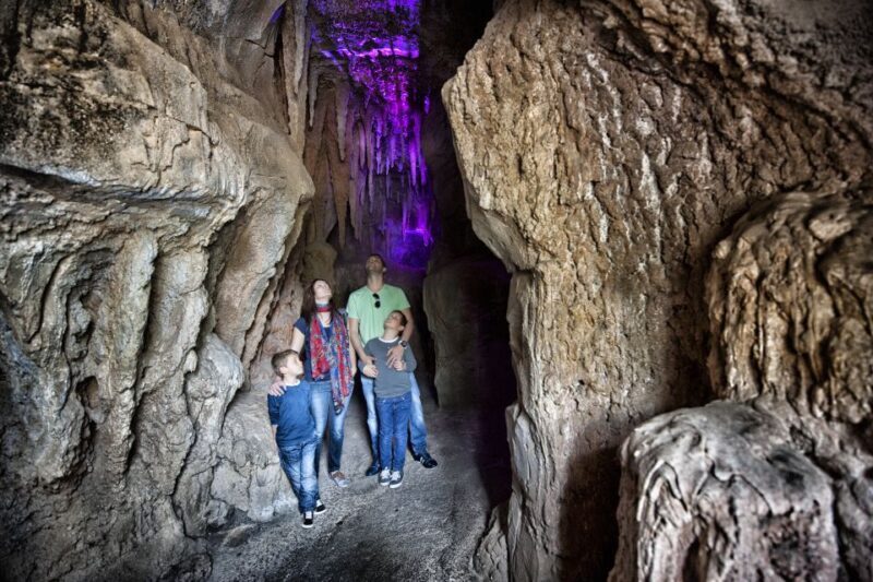 Arona: Entry Ticket to Tenerife's Jungle Park Zoo - The Sum Up