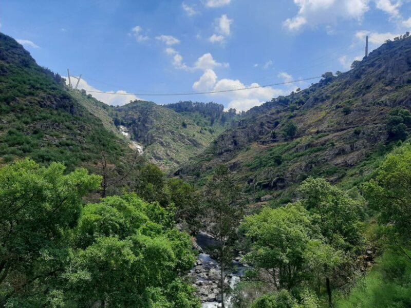 Arouca: Guided Tour Paiva Walkways + 516 Suspension Bridge - An Overview of the Experience