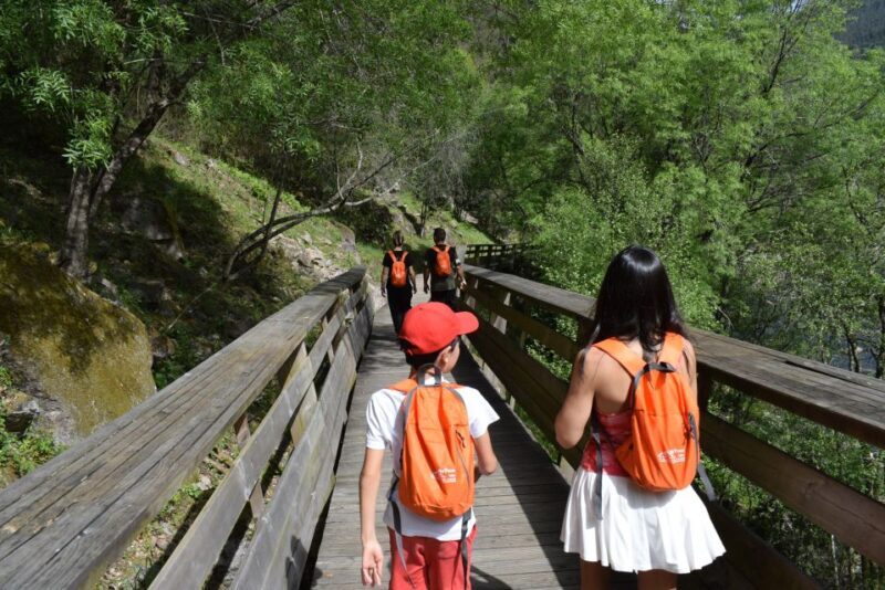 Arouca: Guided Tour Paiva Walkways + 516 Suspension Bridge - Scenic Return in a 4x4 Jeep