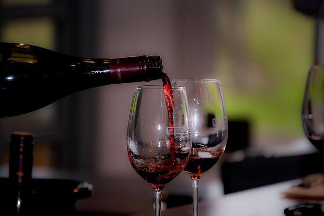 Around the Bay Food and Wine Taste Trail - Who Is This Tour Best Suited For?