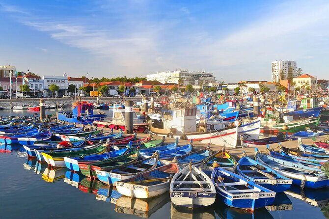 Arrábida Azeitão Palmela and Setúbal Private Tour + Tile Visit - A Deep Dive into the Tour Experience