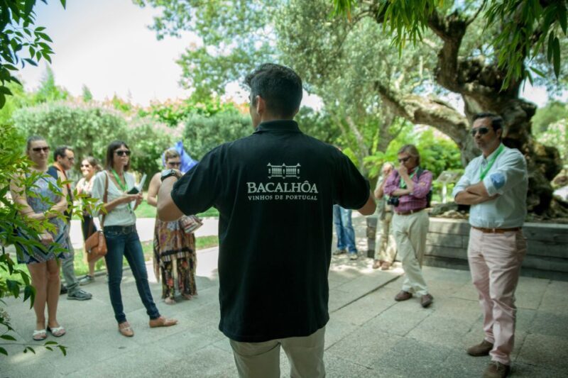 Arrábida: Full-Day Private Tour with Wine Tasting - Who Would Love This Tour?  