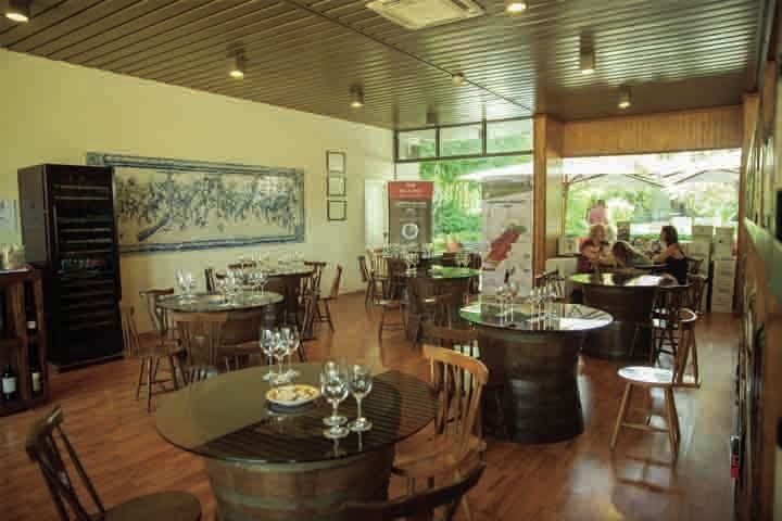 Arrábida: Full-Day Private Tour with Wine Tasting - Final Thoughts