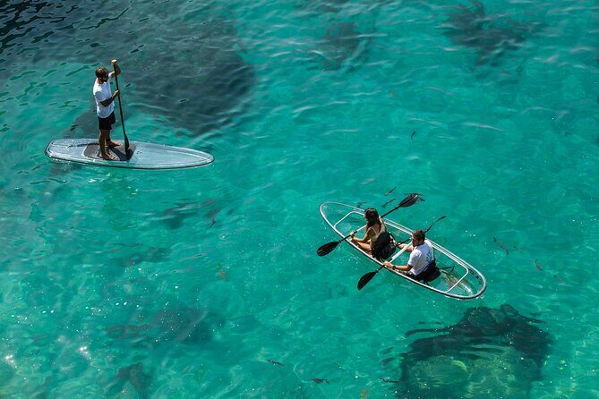 Arrábida: Guided Transparent Kayaking Tour - What to Expect from the Tour