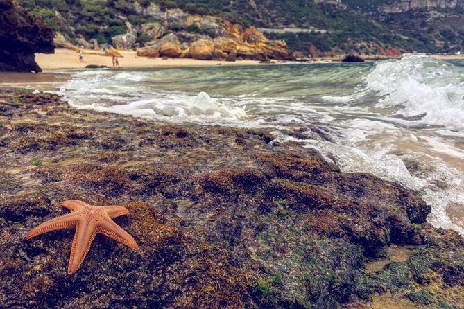 Arrábida Jeep Tour Incredible Market & Hidden Gems - Is This Tour Worth the Price?