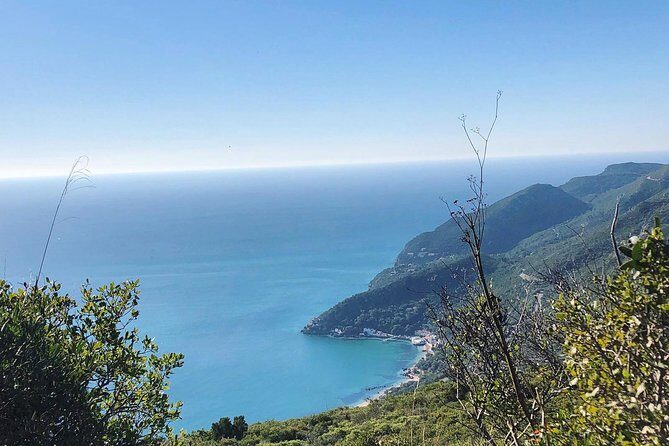 Arrábida Palmela Azeitão Private Tour - W/ Wine Tasting & Tapas - Practical Details and What You Should Know