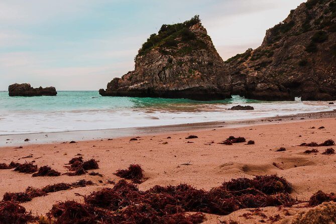 Arrábida Secret Beaches and Caves with Snorkeling Stop - Who Should Book This Tour?