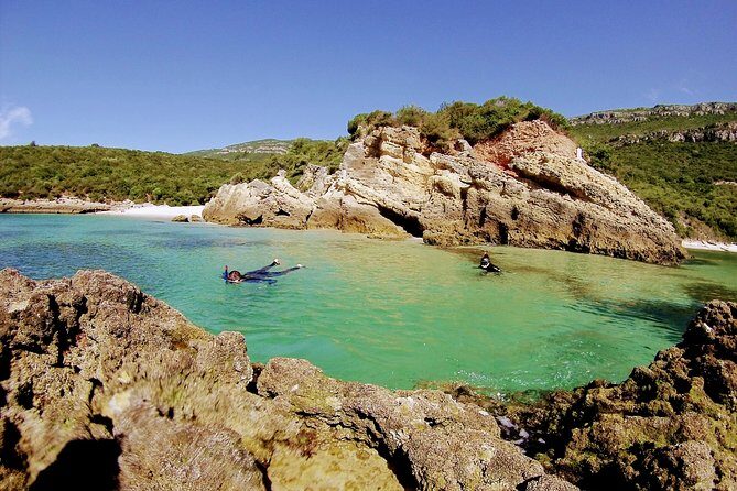 Arrábida Snorkeling Adventure with Transfer from Lisbon - Who Should Book This Tour?