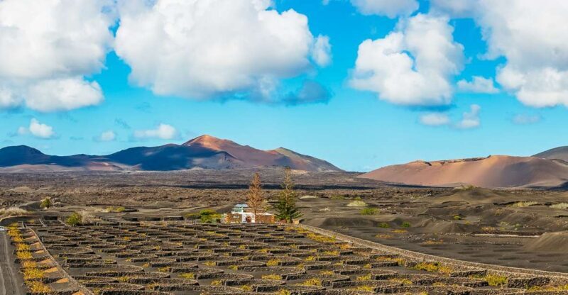 Arrecife: Timanfaya and Green Lagoon for Cruise Passengers - Discovering Lanzarote’s Volcanic Marvels