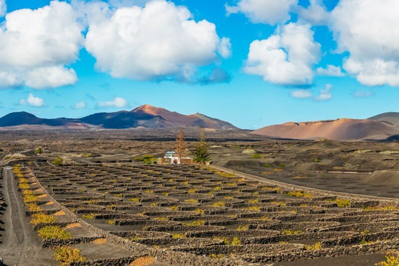 Arrecife: Timanfaya and Green Lagoon for Cruise Passengers - Why This Tour Works Well