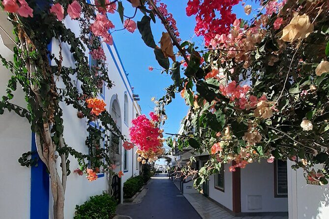 Arround Gran Canaria All Highlights Private Shore Excursion - The Itinerary in Detail