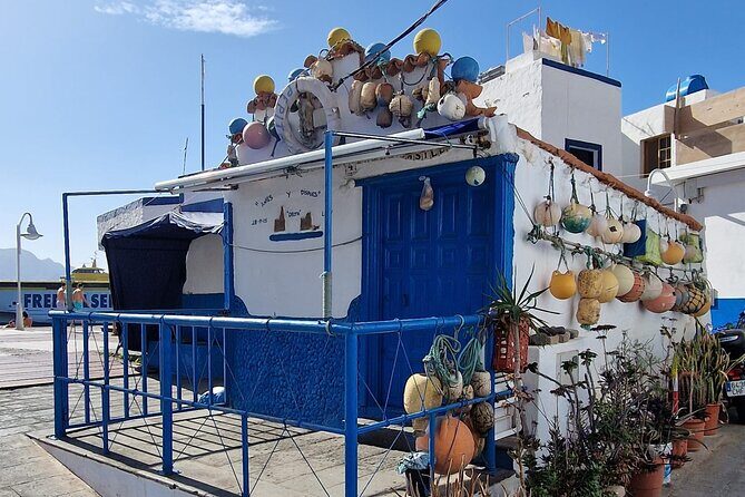 Arround Gran Canaria All Highlights Private Shore Excursion - Who Will Love This Tour?