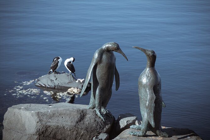 Art and History Trail Walking Tour in Tasmania - How the Tour Works