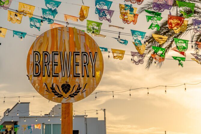 Art and Wine Evening City tour in San Jose del Cabo for Adults - Practicalities and Considerations