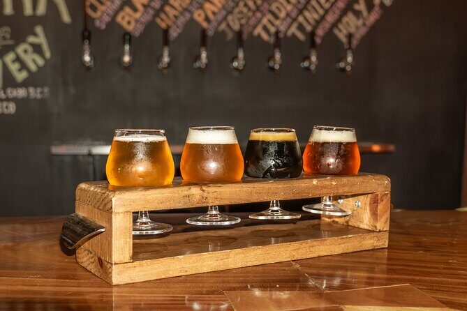 Art and Wine Evening City tour in San Jose del Cabo for Adults - Who Will Love This Tour?