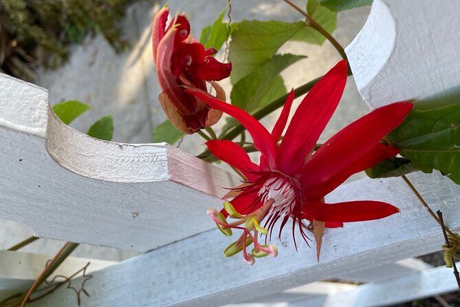 Art of the Gilded Age - FAQs