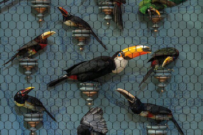 Art Zoo Museum Amsterdam Tickets - Who Should Consider This Visit?