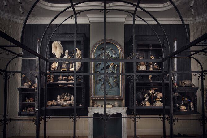 Art Zoo Museum Amsterdam Tickets - Summary: The Bottom Line