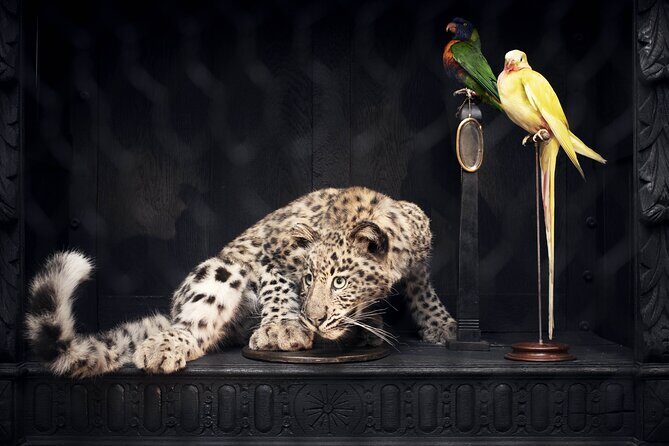 Art Zoo Museum Amsterdam Tickets - FAQ