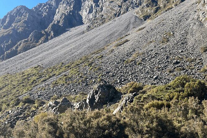 Arthur Pass & castle Hill Ultimate Day trip From Christchurch - Transport & Logistics: Comfort and Convenience