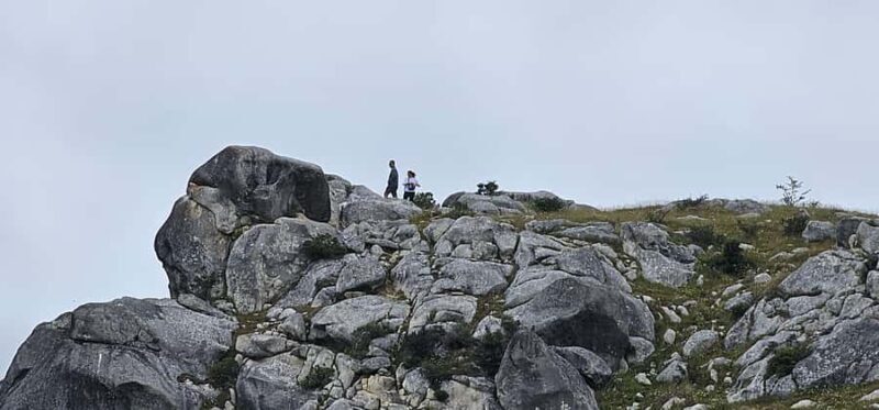 Arthurs Pass Alpine Explorer Day Tour from Christchurch - Exploring the Scenic Highlights of the Arthurs Pass Day Tour