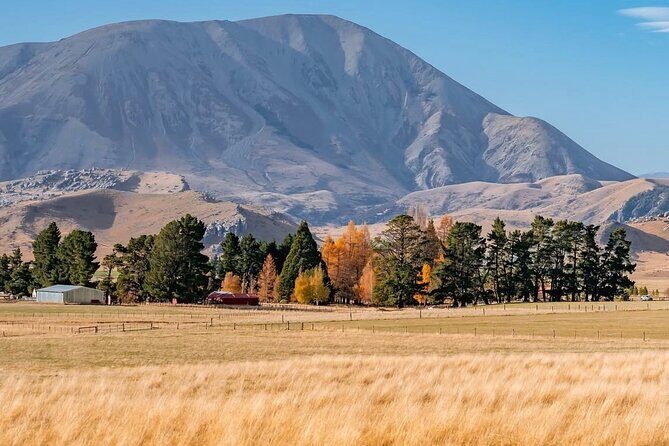 Arthurs Pass Private Day Trip from Christchurch with Castle Hill - Value and Price Analysis