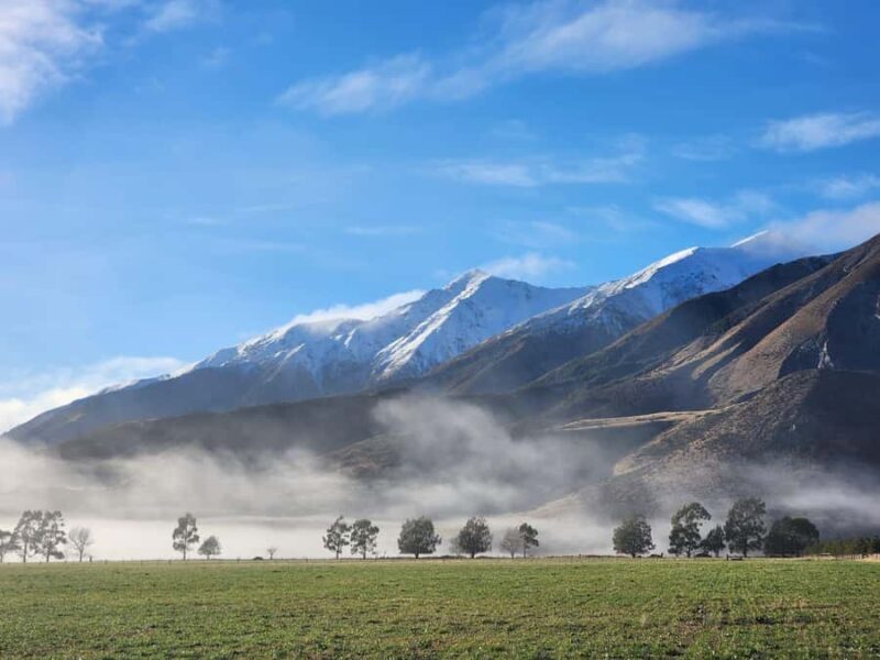 Arthurs Pass Tour From Christchurch via CHC-GRZ TranzAlpine - Transport and Logistics: What You Need to Know