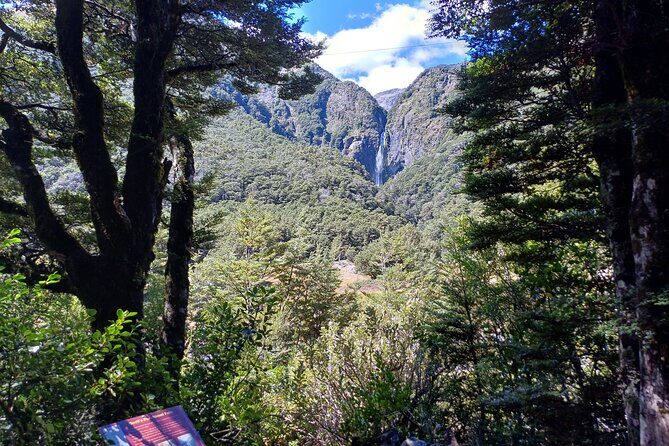 Arthurs Pass with Optional TranzAlpine Train (Private Tour) - Why This Tour Works