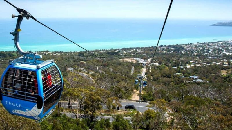 Arthurs Seat Eagle: Scenic Gondola Ride - A Closer Look at the Arthurs Seat Eagle Experience